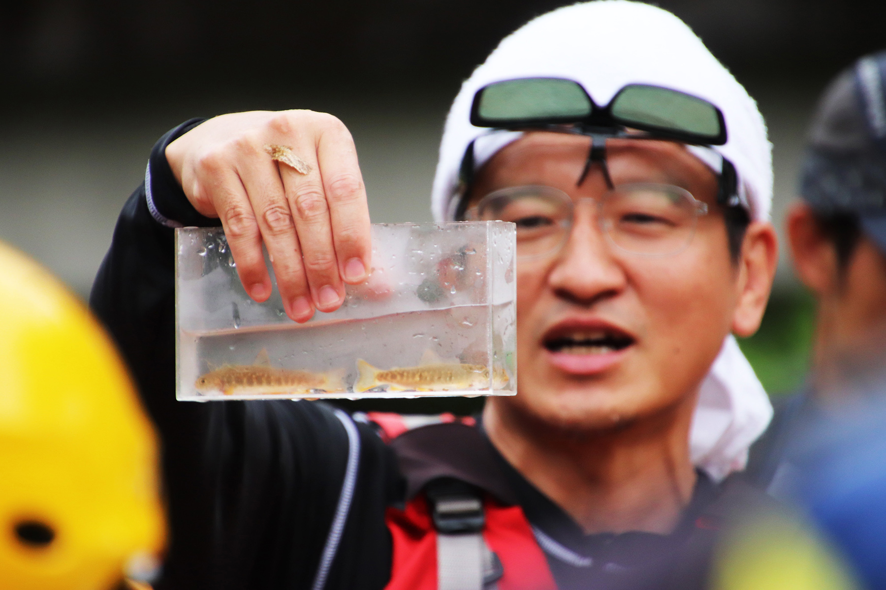 福井 | レポート： 【2019夏・ぼくらの自然再生プチ作戦＃1】 サカナのきもちで川たんけん | SAVE JAPAN プロジェクト ...