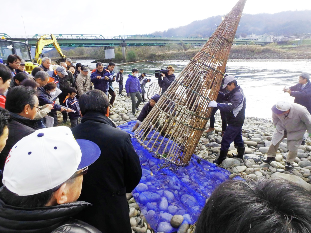 福井 | イベント： ふくい・アラレガコ学校【第1回】 年に1度の「エバ漁」見学！ | SAVE JAPAN プロジェクト 2021-2022