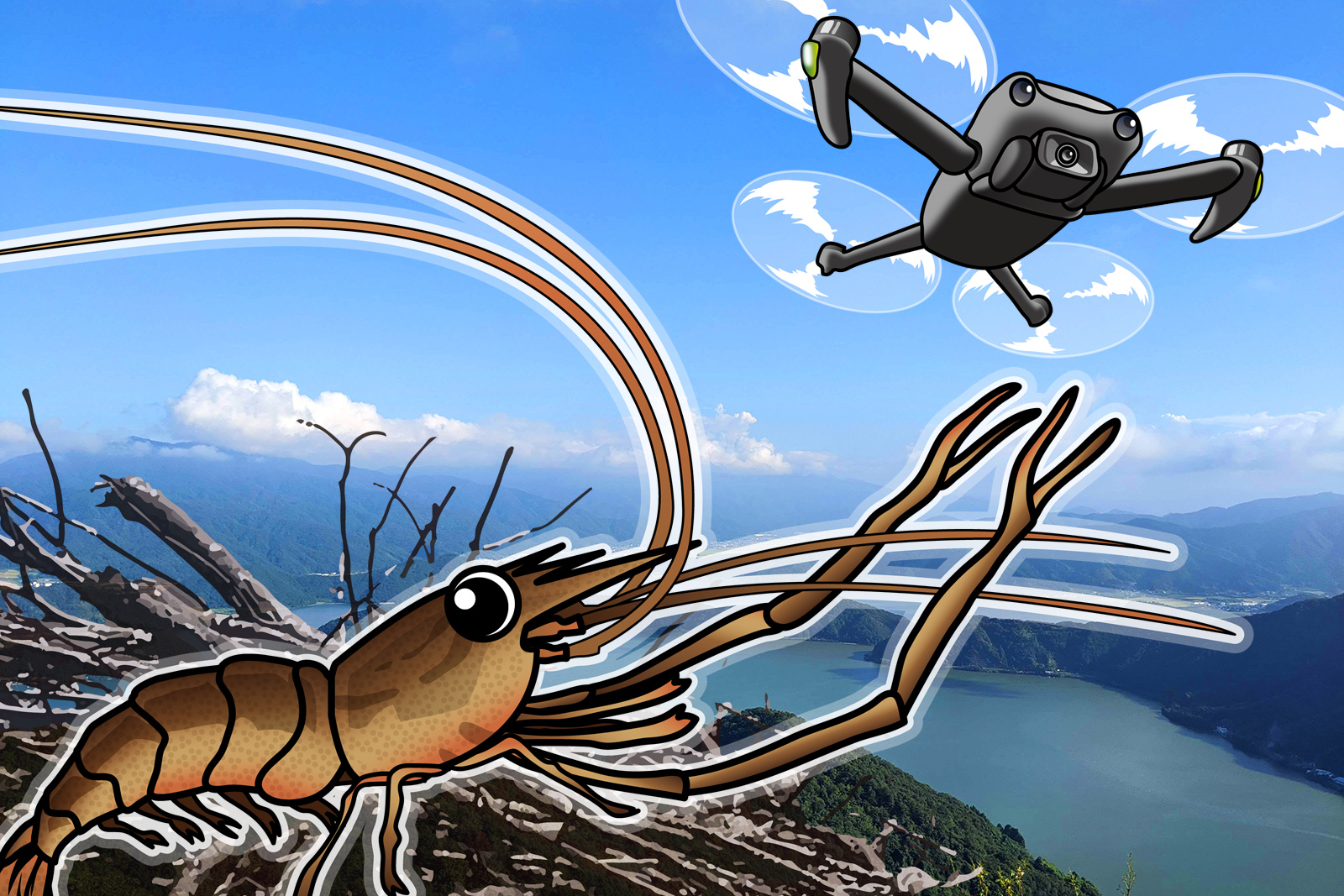 福井 | イベント： 船・空・湖底から 三方湖まるごと大調査 | SAVE JAPAN プロジェクト 2022-2023