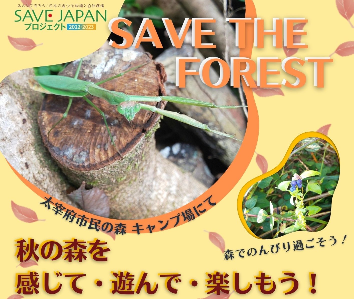 福岡 | イベント： 「SAVE THE FOREST」 | SAVE JAPAN プロジェクト 2022-2023