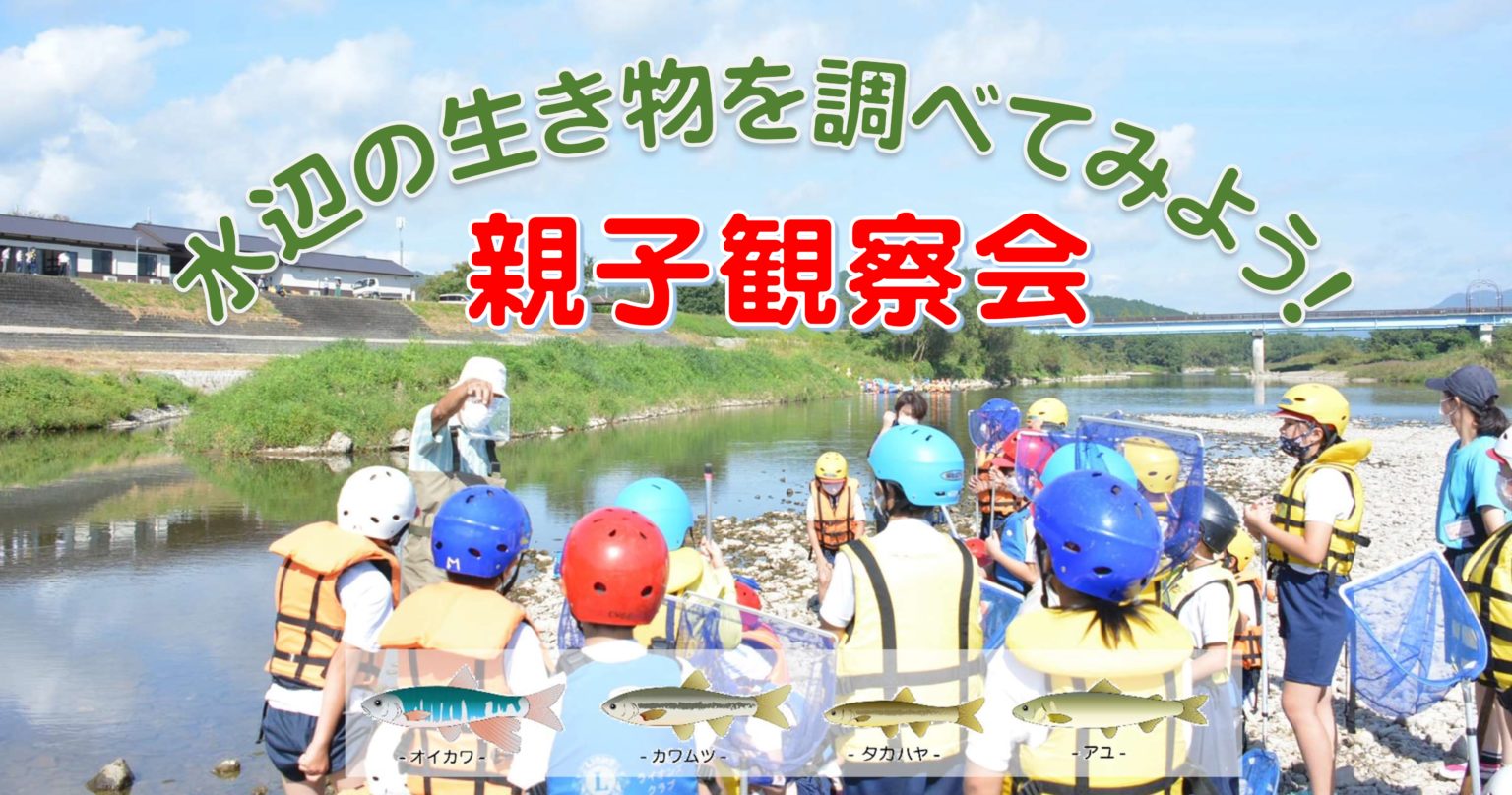 京都 | イベント： 水辺の生き物を調べてみよう！親子観察会 | SAVE JAPAN プロジェクト 2022-2023