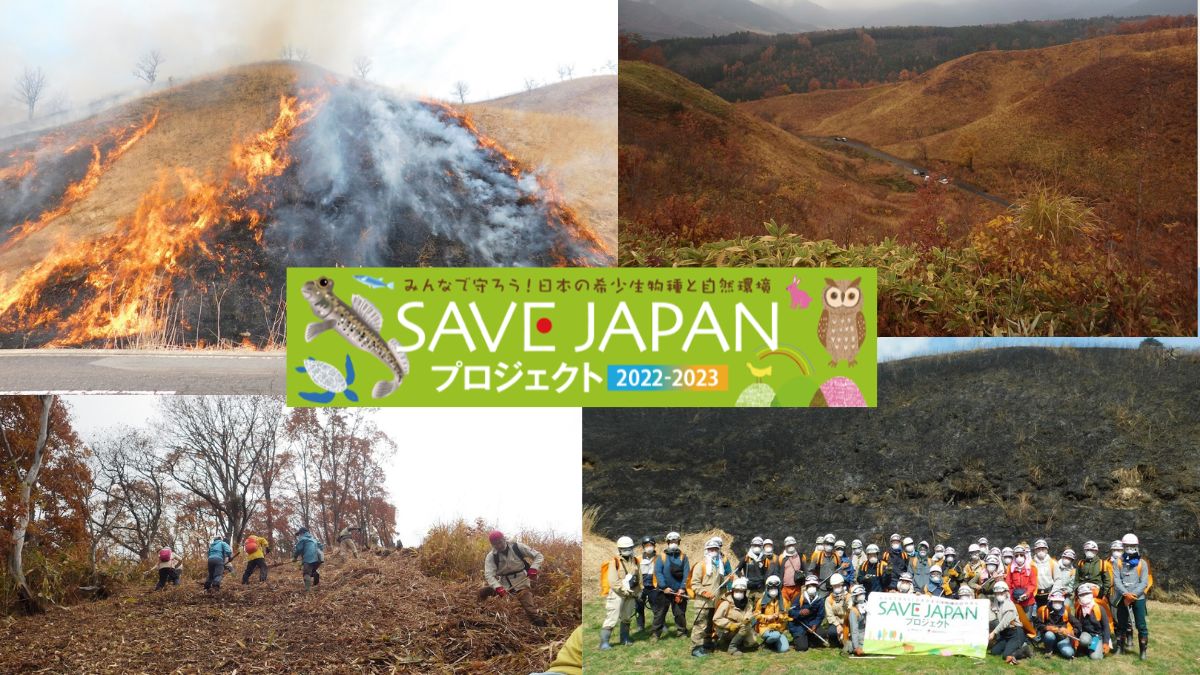 岡山 | イベント： 【山焼き】4/1-2-8の週末開催！ SAVE JAPANプロジェクト×蒜山自然再生協議会「みんなで蒜山の草原を守ろう ...