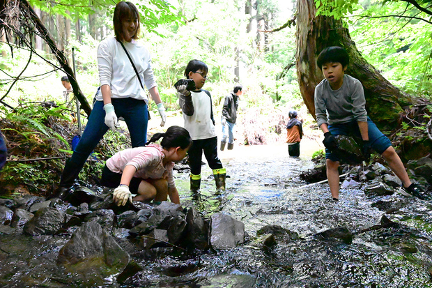 福井 | イベント： 福井 いのち いしづみ いきものシンポ | SAVE JAPAN プロジェクト 2023-2024