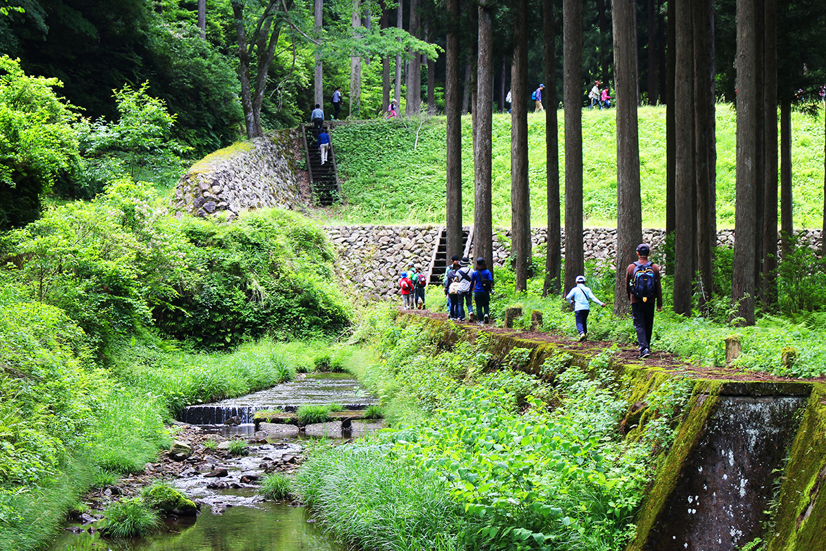 福井 | イベント： 手づくり石づみで守れ！ アカタン生きもの快適生活 | SAVE JAPAN プロジェクト 2023-2024