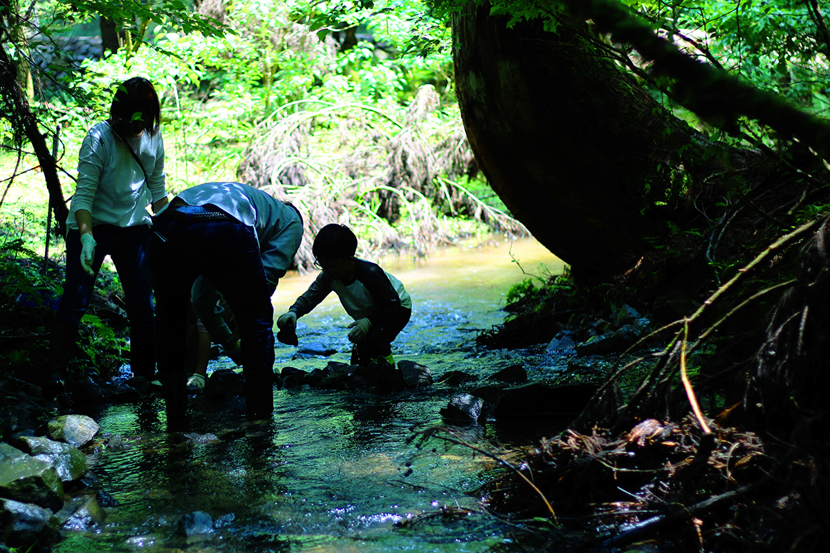 福井 | レポート： 手づくり石づみで守れ！ アカタン生きもの快適生活 | SAVE JAPAN プロジェクト 2023-2024