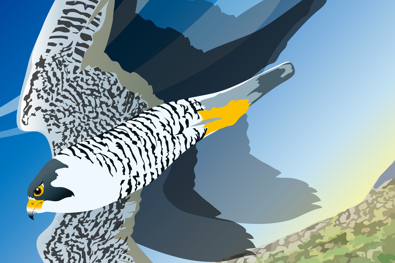 福井 | イベント： ハヤブサの空を「石づみたいけん」で守れ!! | SAVE JAPAN プロジェクト 2023-2024