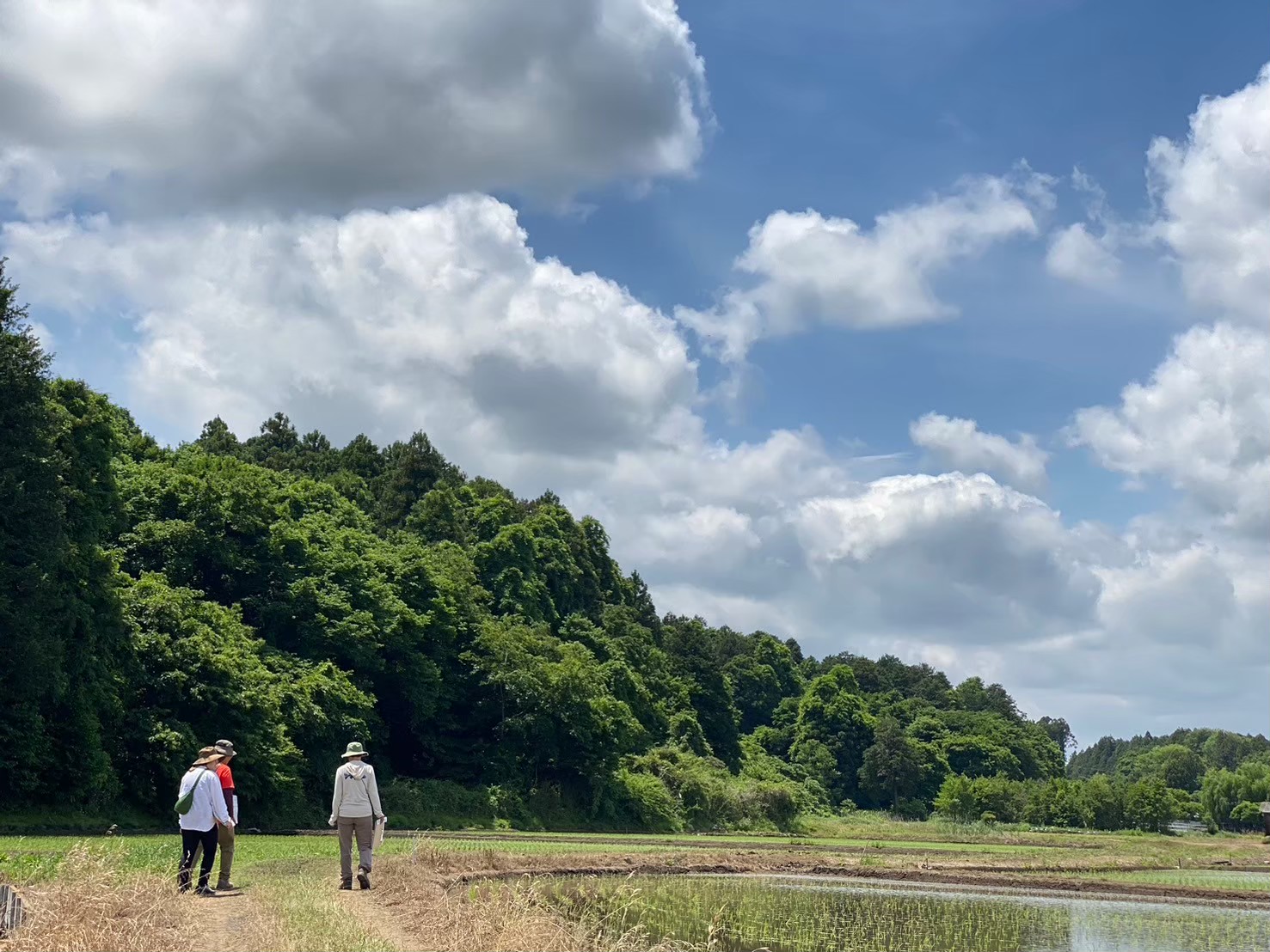 茨城 | イベント： 学習会「生物多様性保全による暮らしの安全」～里山を歩いて楽しみながら学ぼう！～ | SAVE JAPAN プロジェクト ...