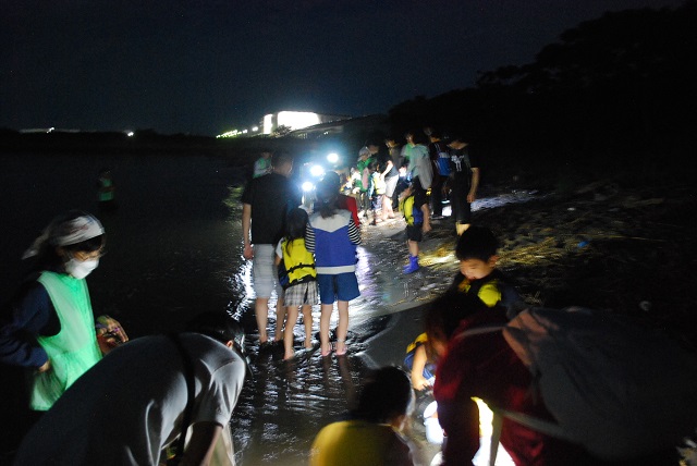 大分 | イベント： 自然共生サイト申請地付近でアカテガニ産卵観察会 | SAVE JAPAN プロジェクト 2023-2024