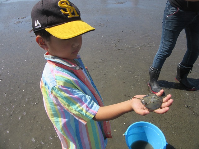 大分 | イベント： 自然共生サイト登録目指す、春の中津干潟生きもの観察会 | SAVE JAPAN プロジェクト 2023-2024