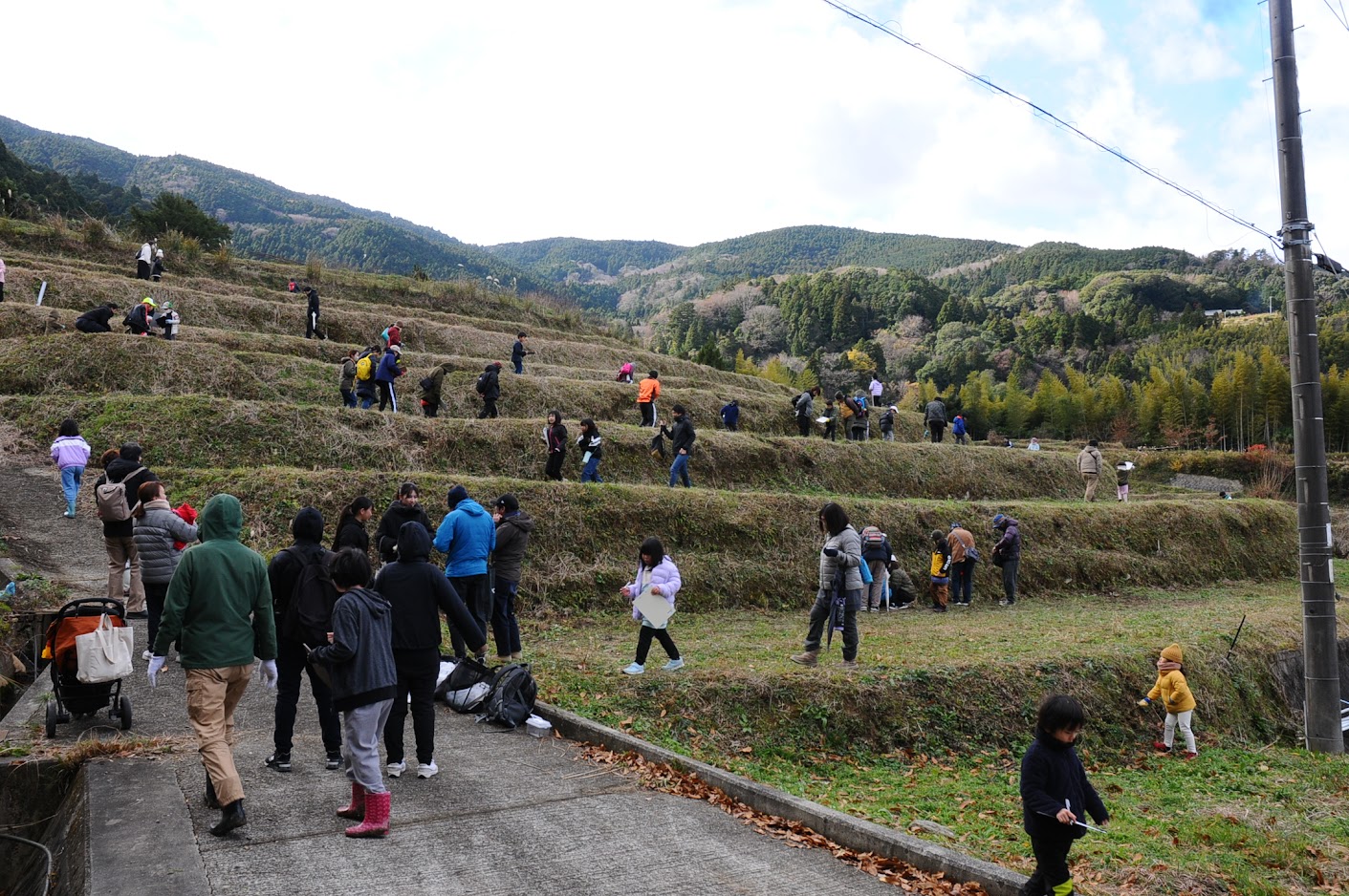 和歌山 | レポート： 生き物いっぱい！ 棚田復活大作戦！ 第2弾！（第1回活動） | SAVE JAPAN プロジェクト 2023-2024