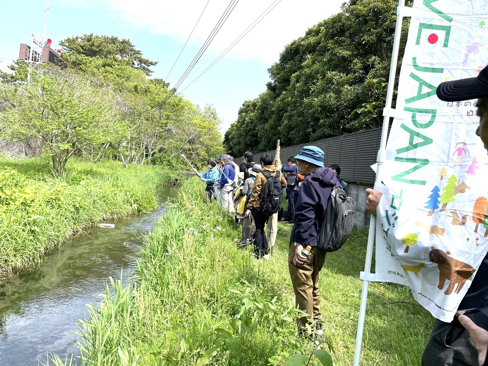 神奈川 | イベント： メダカ生息地を体感 観察ウオーキング大作戦！！ ～OECM申請地を歩く～ | SAVE JAPAN プロジェクト ...